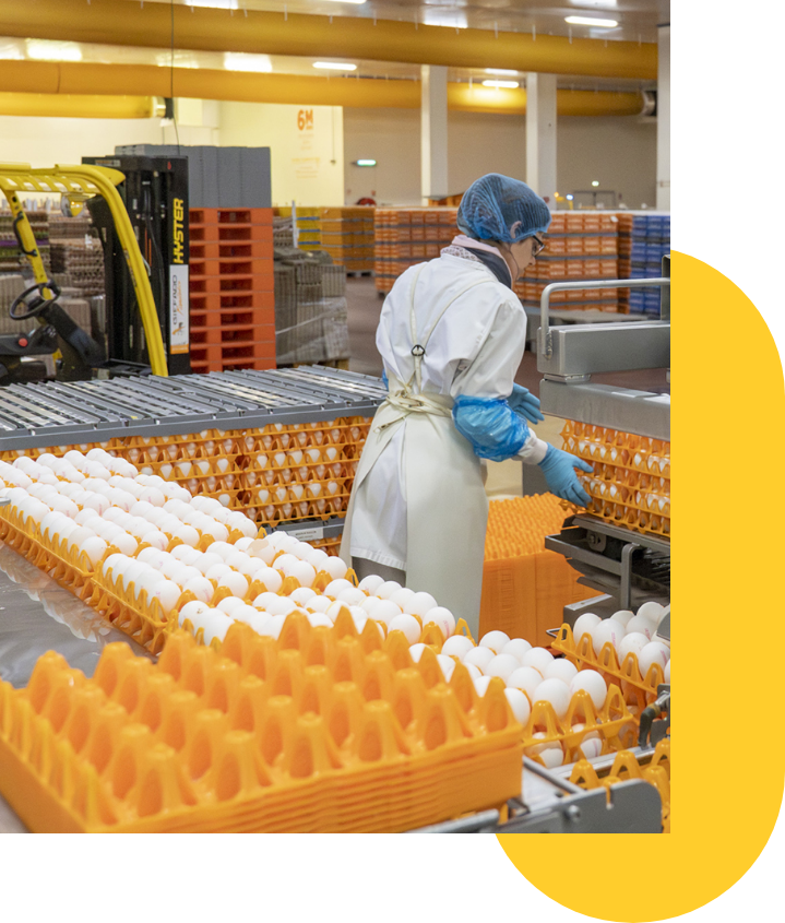 Igreca : The European expert in egg products - Igreca