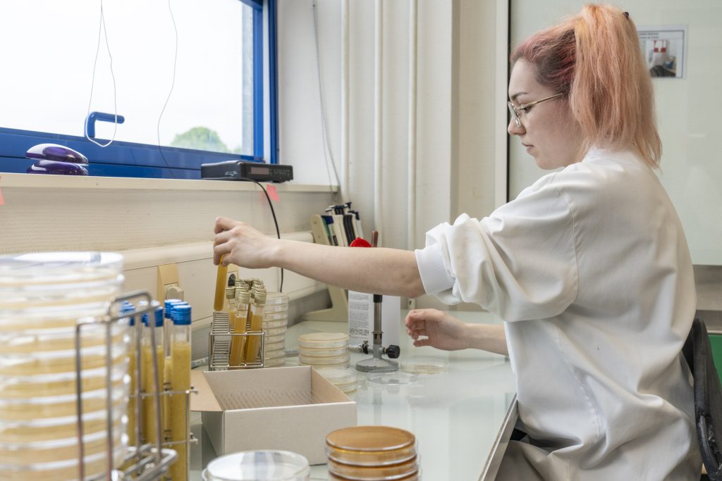 Quality & Hygiene - Igreca